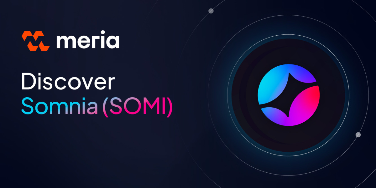 Qu'est-ce que la blockchain Somnia et sa cryptomonnaie SOMI ? | Meria
