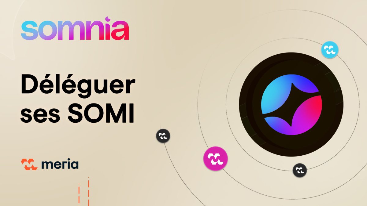Staking de tokens Somnia (SOMI) : Tutoriel de A à Z | Meria
